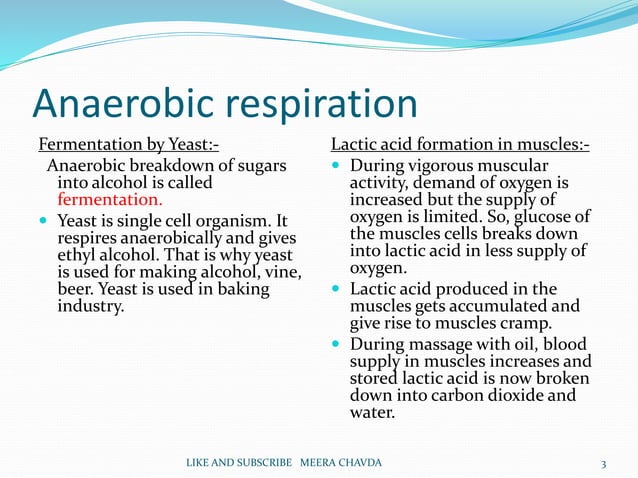 Respiration in humans grade 7 notes | PPTX