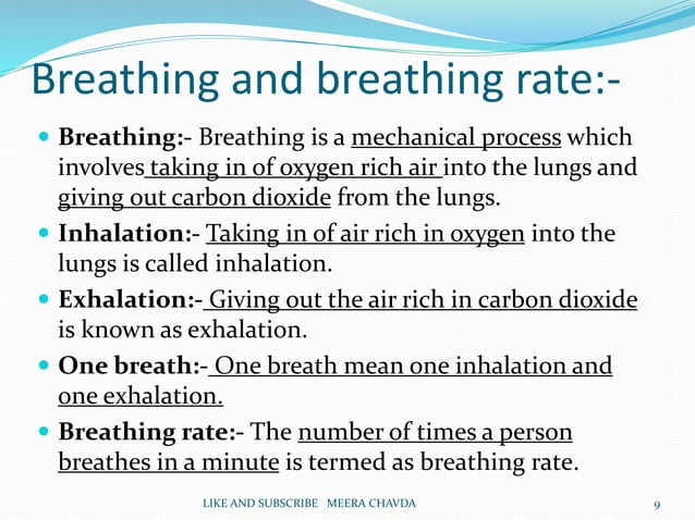 Respiration in humans grade 7 notes | PPTX