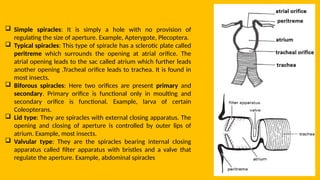 respiration in inswcts include types of respiration.pptx