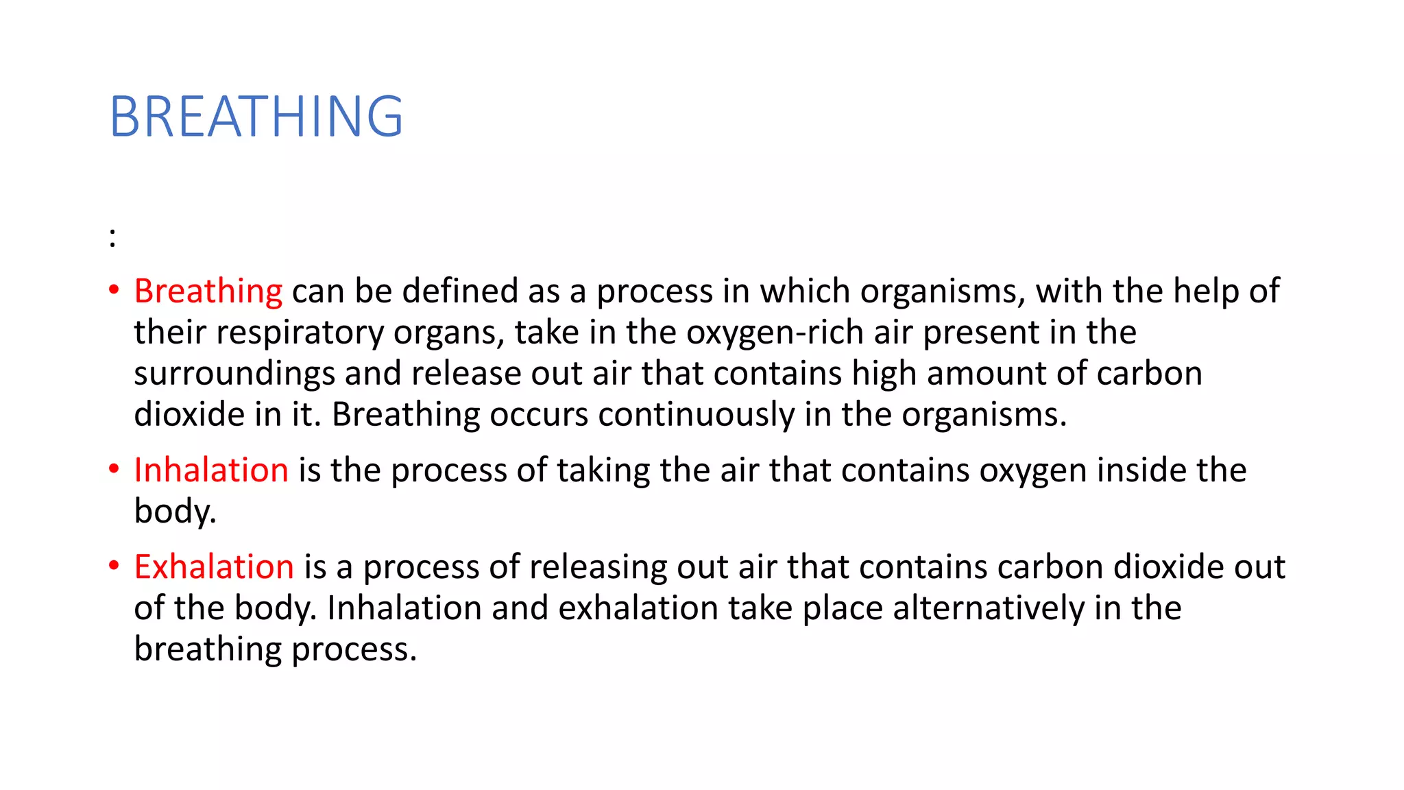 Respiration in living organisms CLASS 7 | PPTX | Lung and Respiratory ...