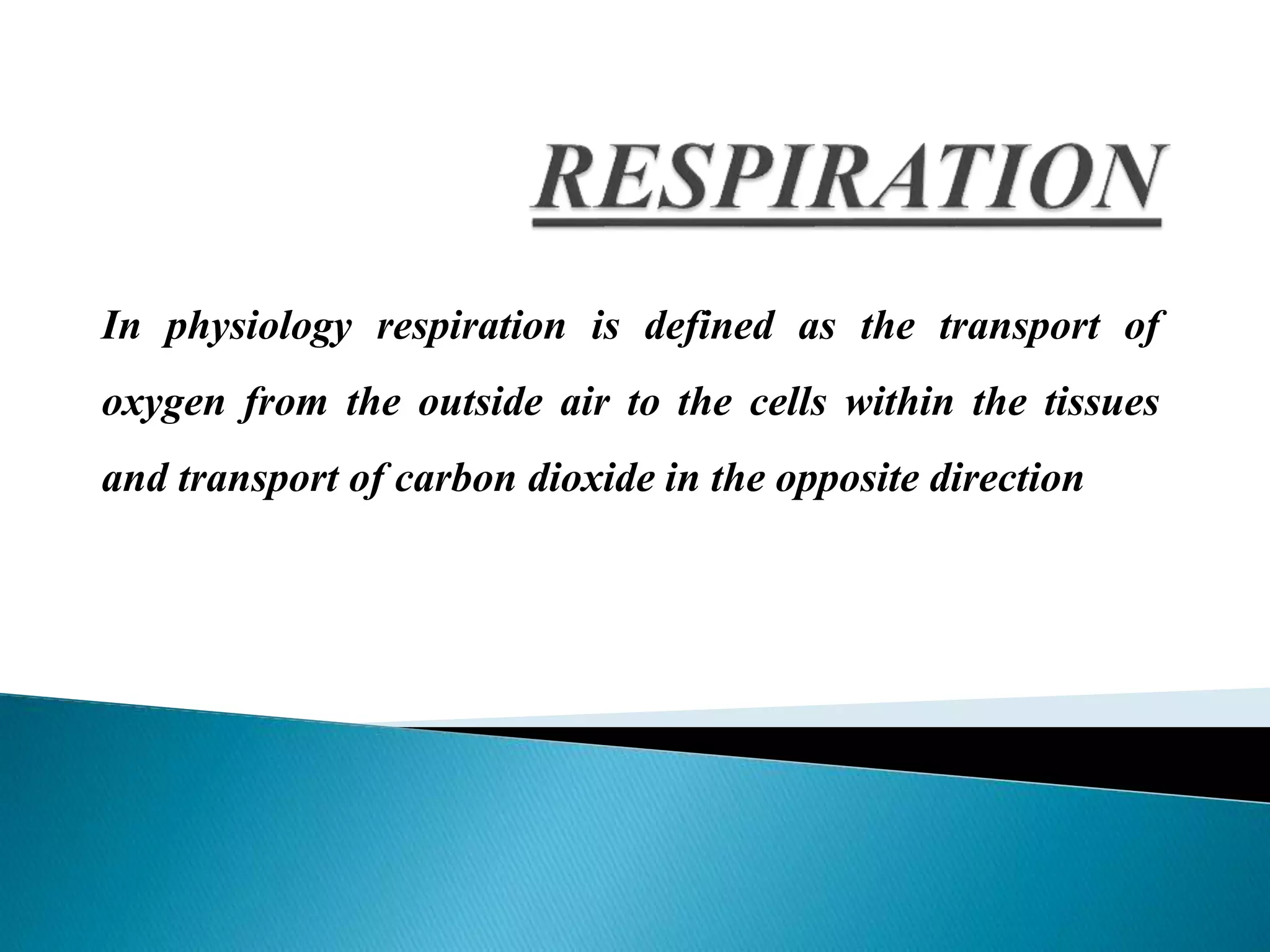 Respiration in man | PPTX