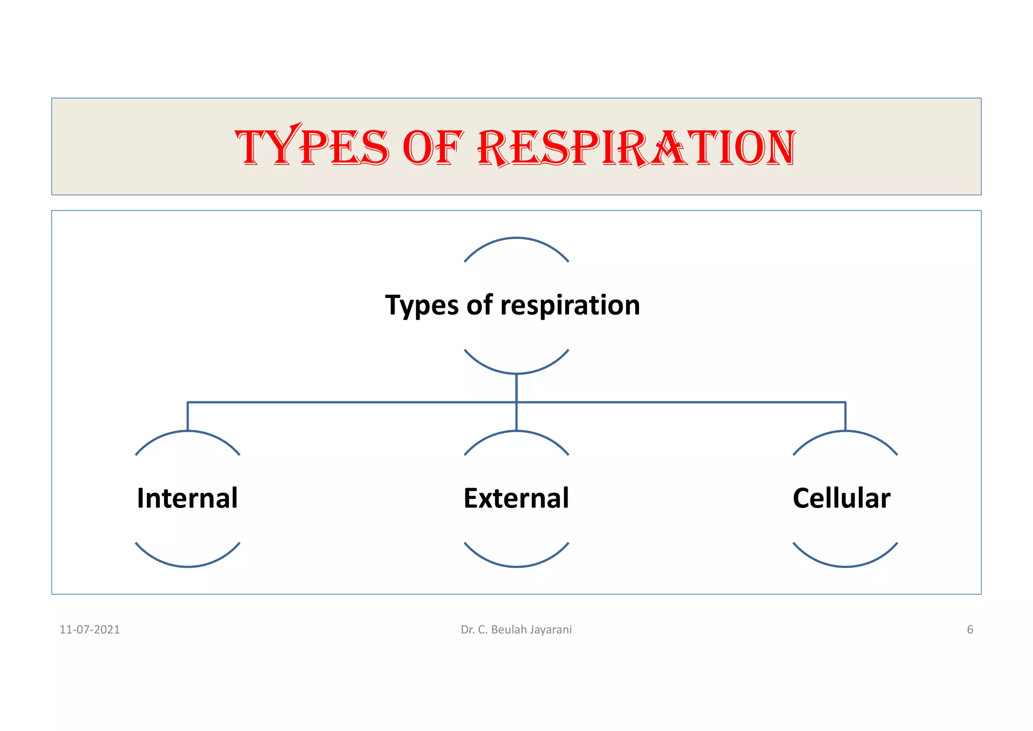 Respiration in man | PPT