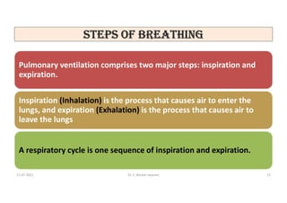 Respiration in man | PPT