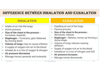 Respiration in man | PPT