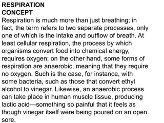 Respiration in organism | PPTX | Lung and Respiratory Health | Diseases ...