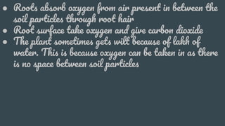 Respiration in organism class 7 | PDF