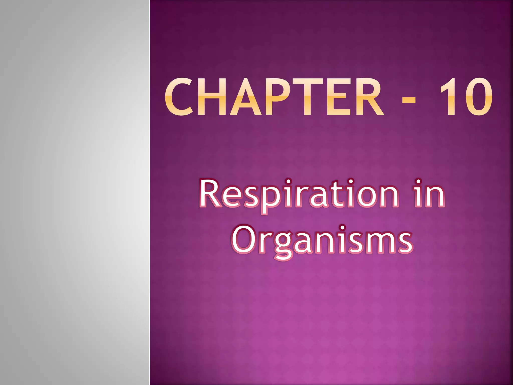 Respiration in organisms | PPTX