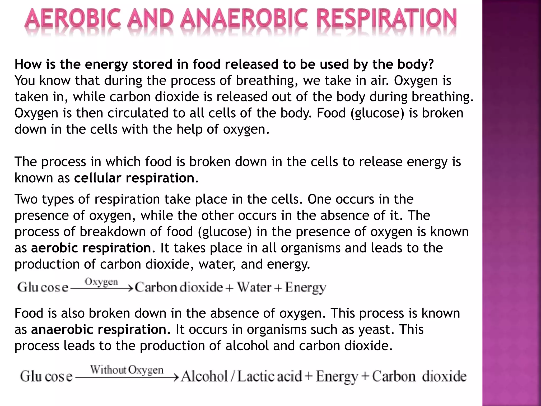 Respiration in organisms | PPTX
