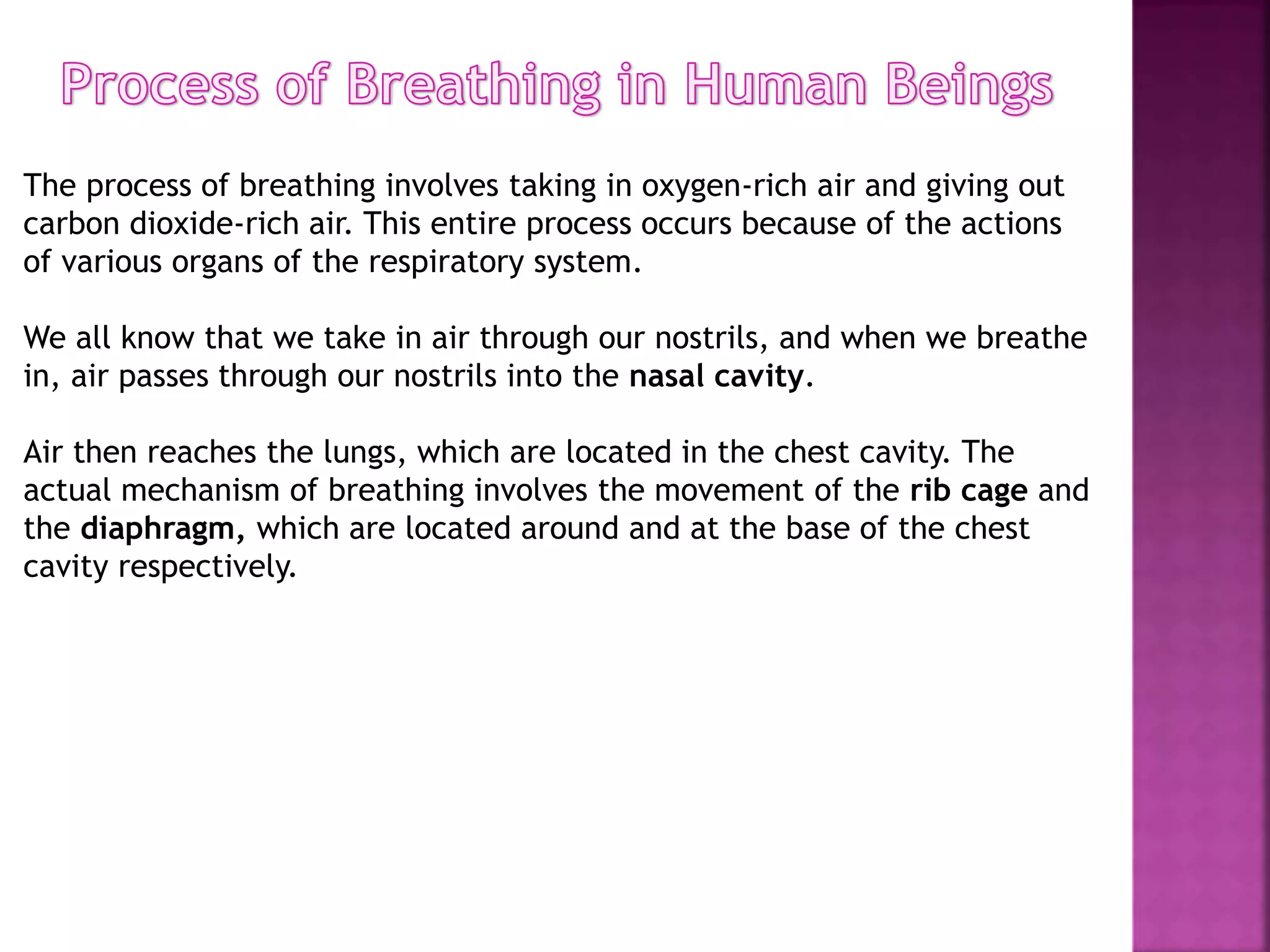 Respiration in organisms | PPTX