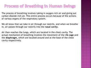 Respiration in organisms | PPTX