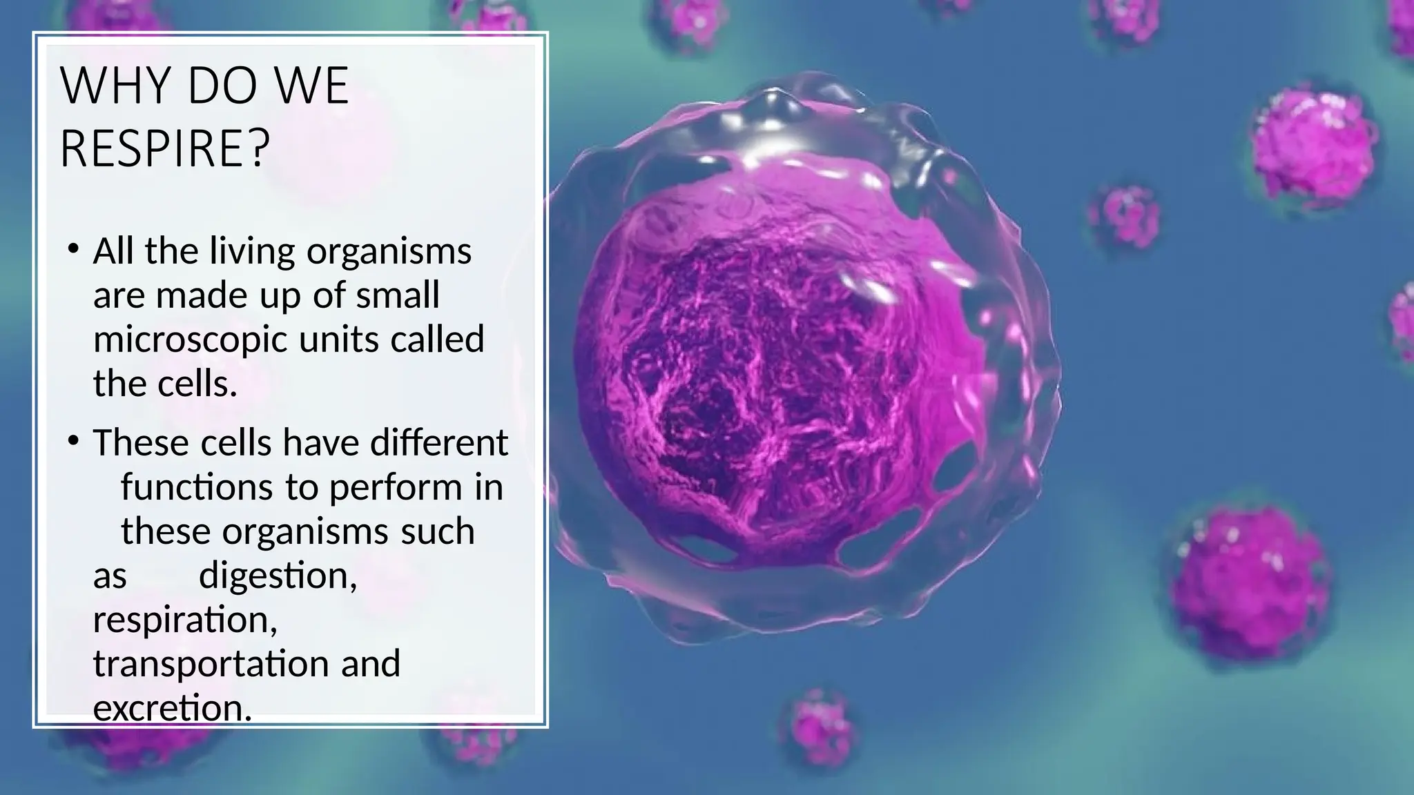 Respiration in Organisms Class seven CBSE | PPTX