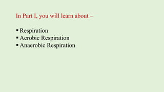 Respiration in Organisms Part 1.pdf