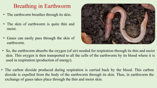 Respiration in Organisms Part 411111111111111111111.pdf