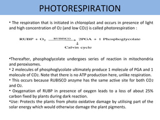 Respiration in plants | PPT