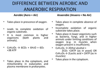 Respiration in plants | PPT