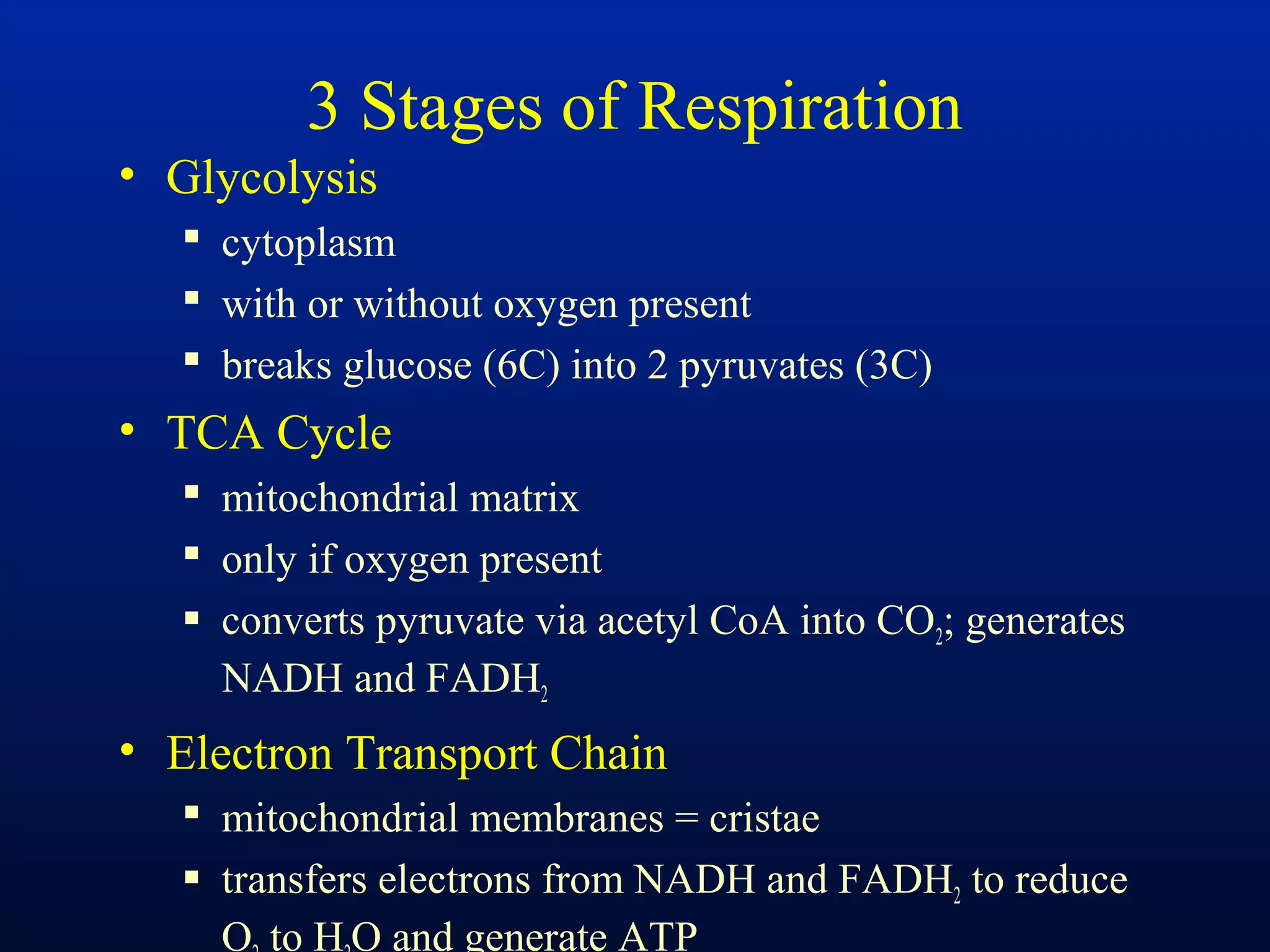 Respiration in plants | PPT