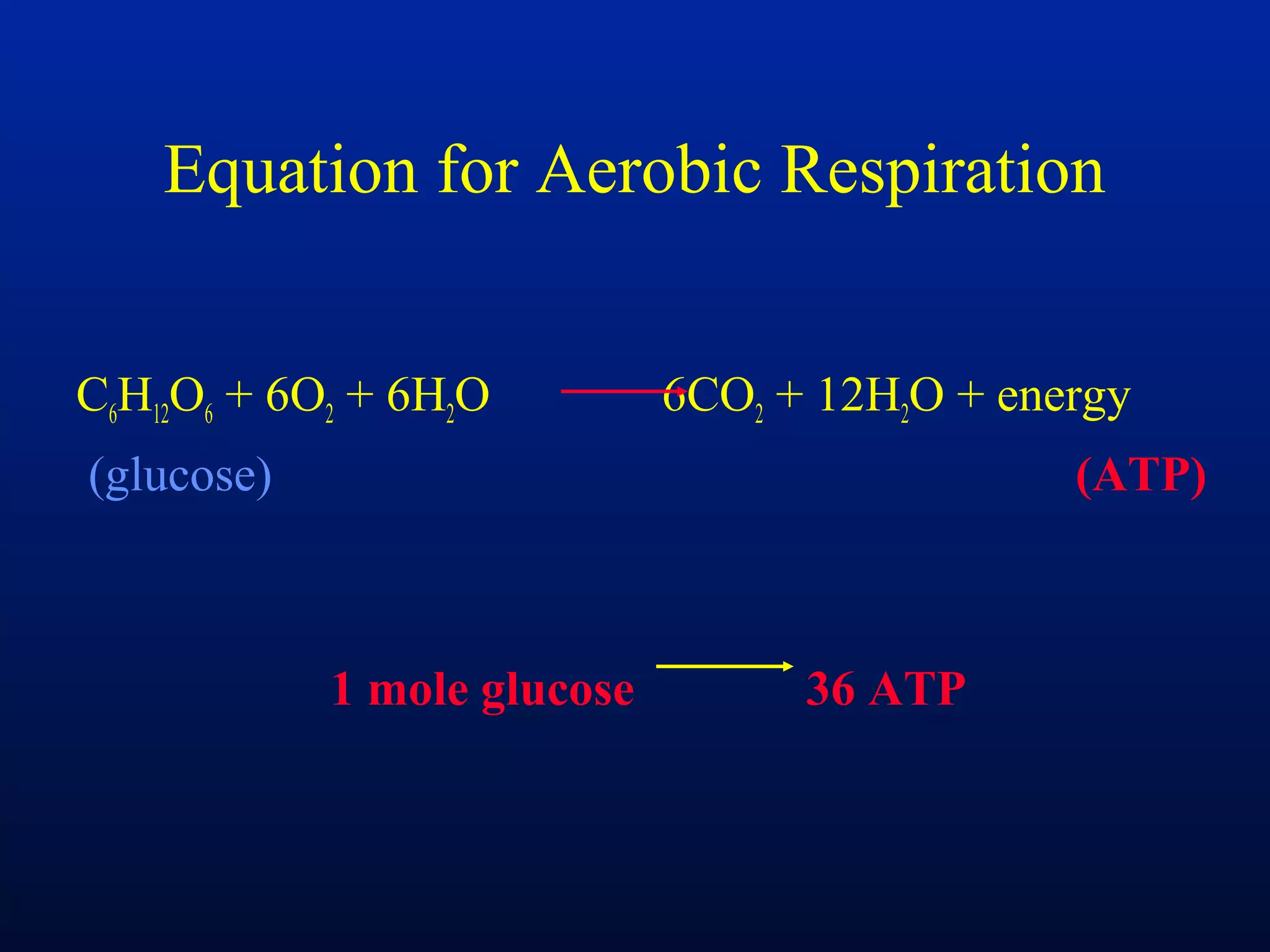Respiration in plants | PPT