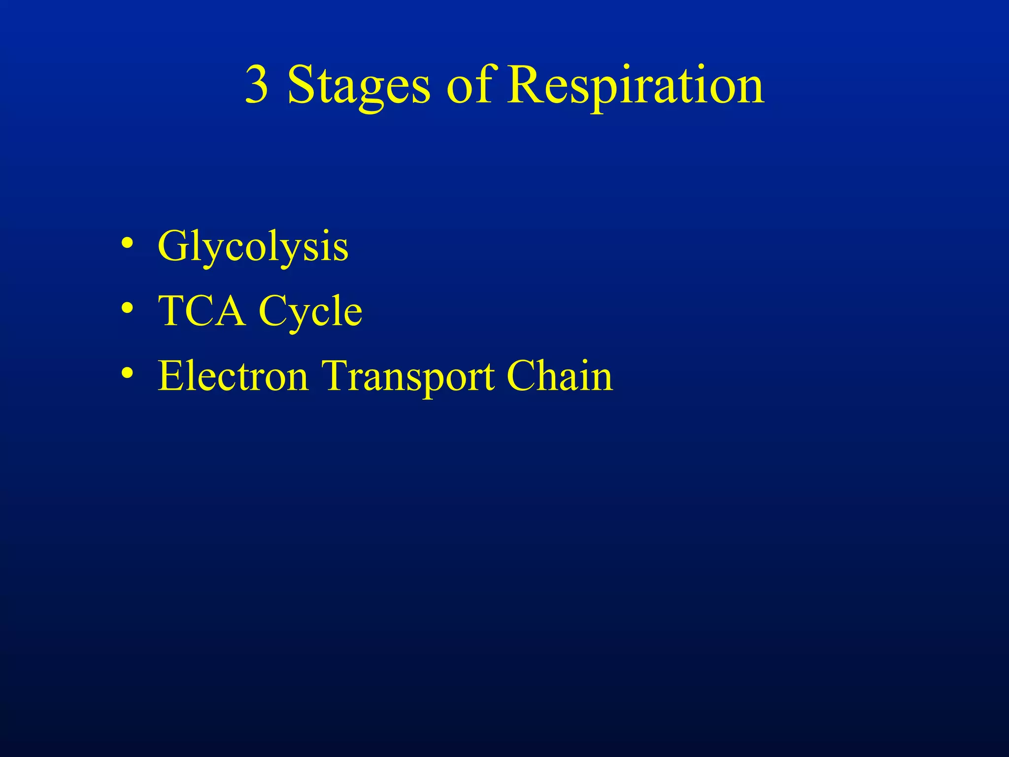 Respiration in plants | PPT