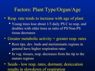 Respiration in plants | PPT
