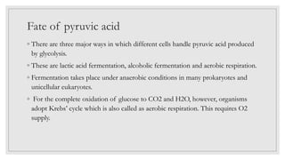 Respiration in plants | PPTX