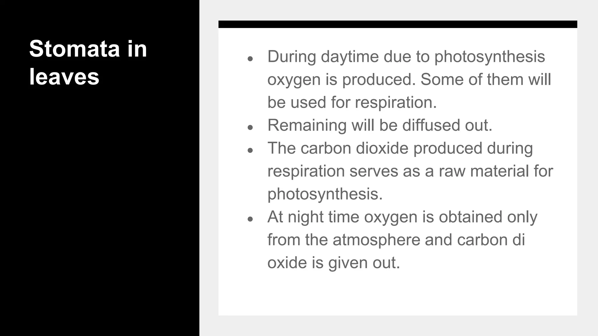 Respiration in plants | PPTX