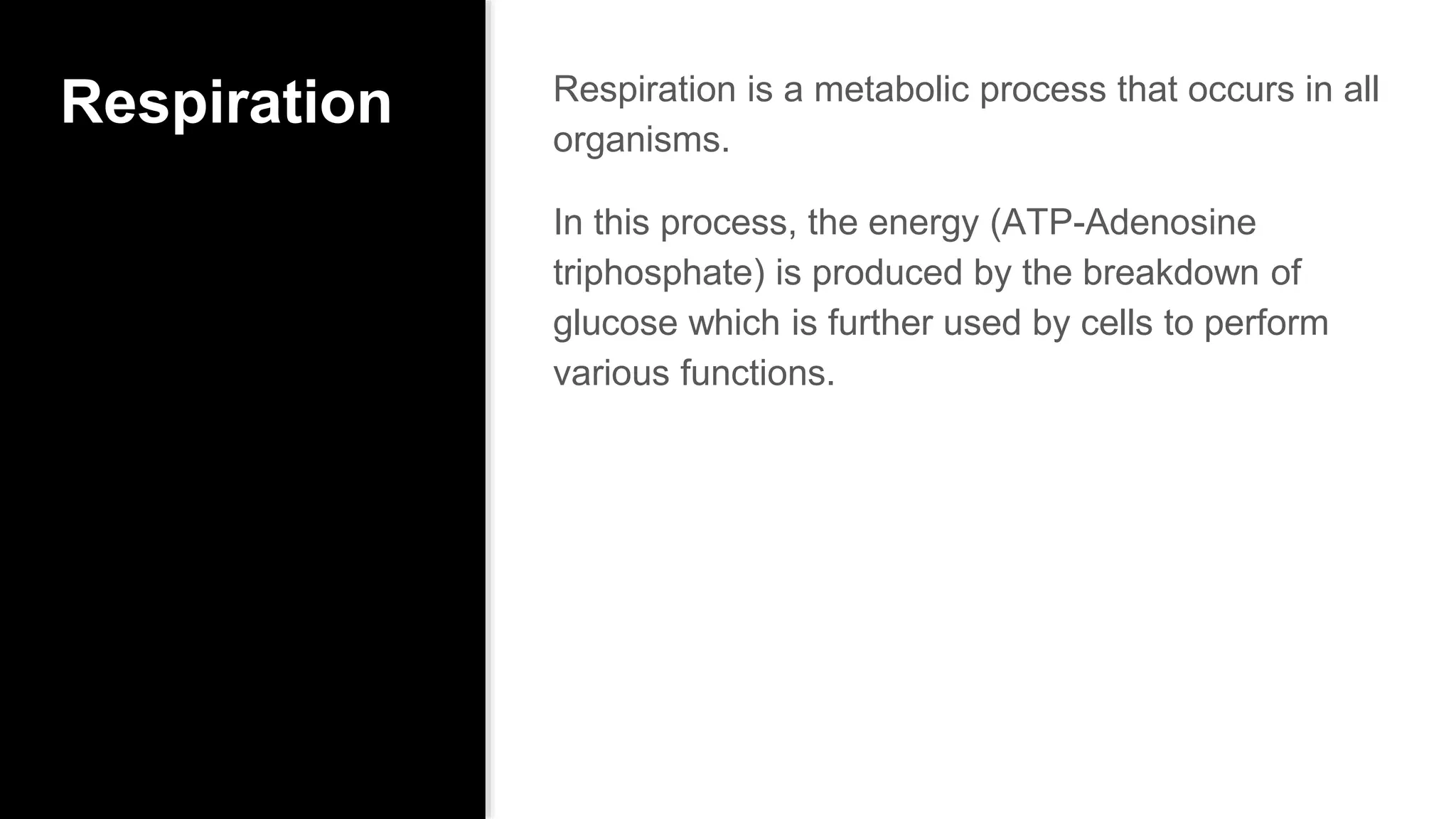 Respiration in plants | PPTX