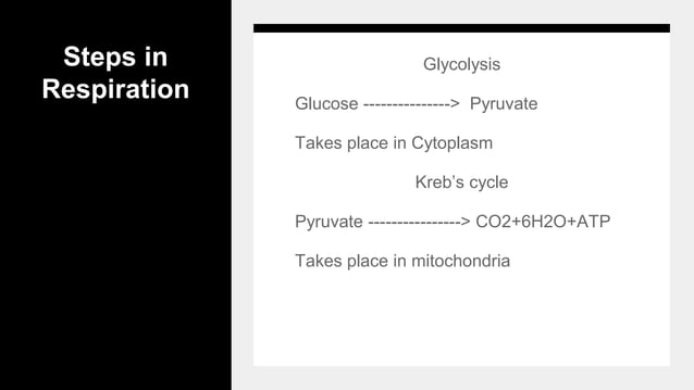 Respiration in plants | PPTX