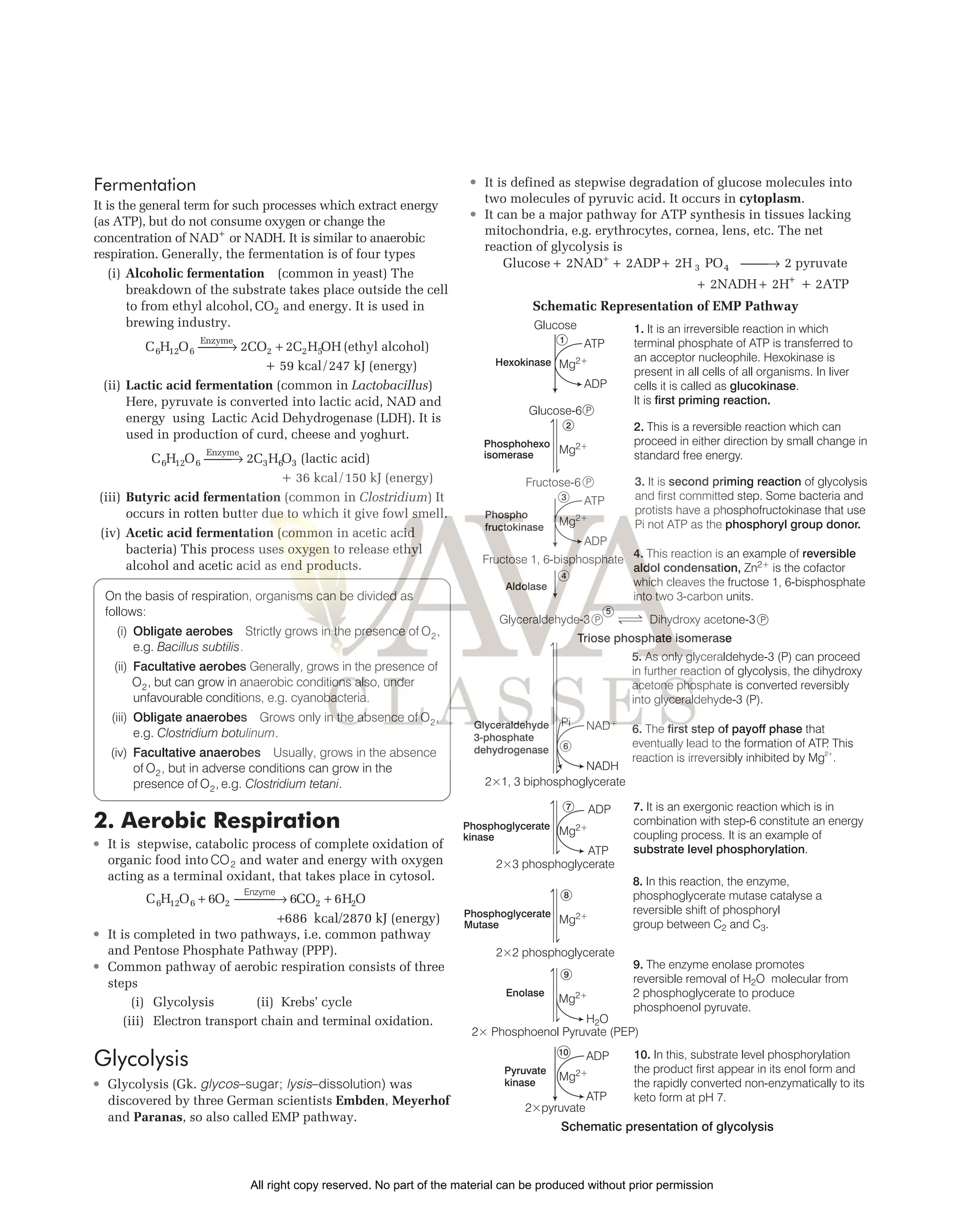 Respiration in Plants Class 11 Free Study Material pdf download | PDF