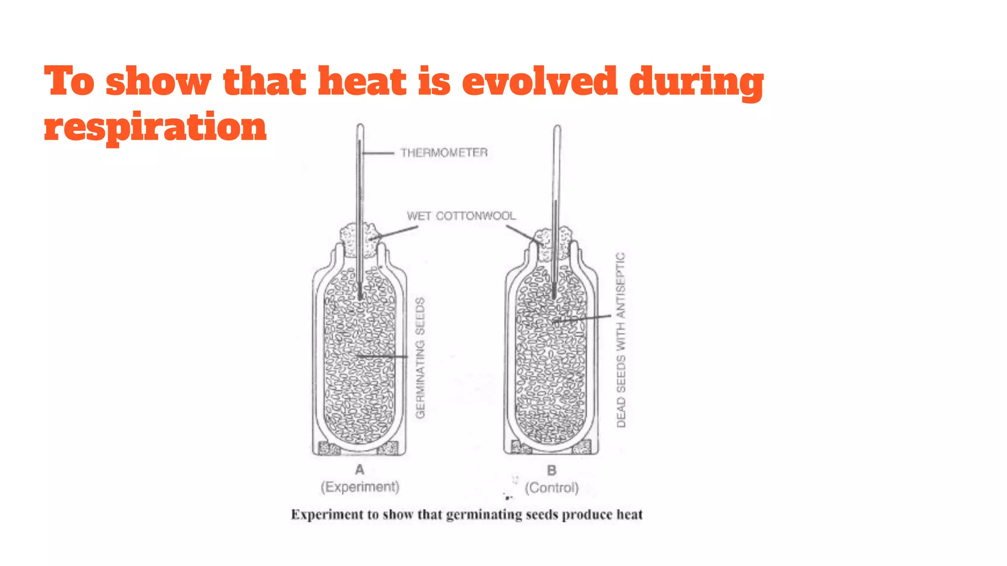 Respiration in plants | PDF