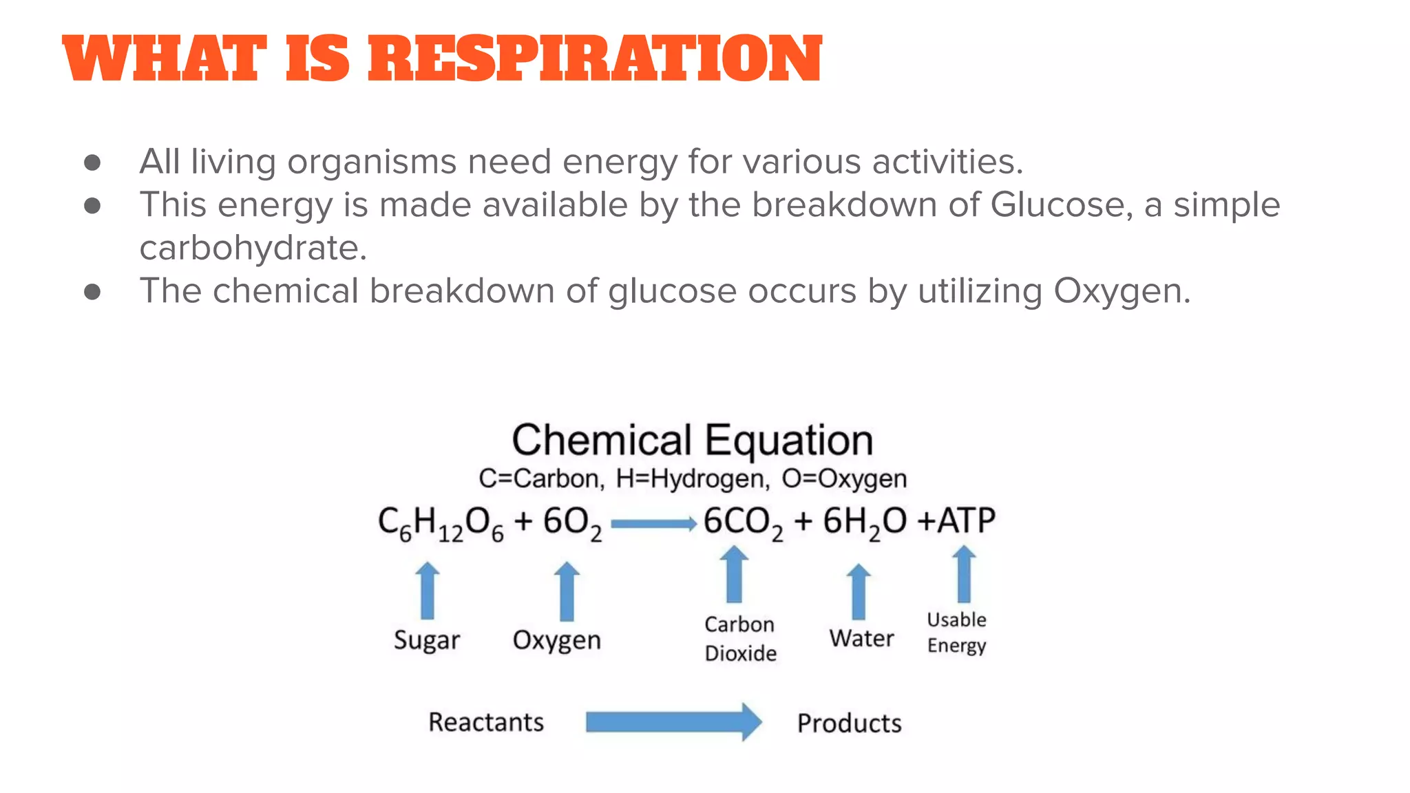 Respiration in plants | PDF