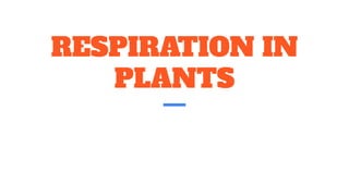 Respiration in plants | PDF