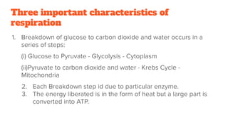 Respiration in plants | PDF