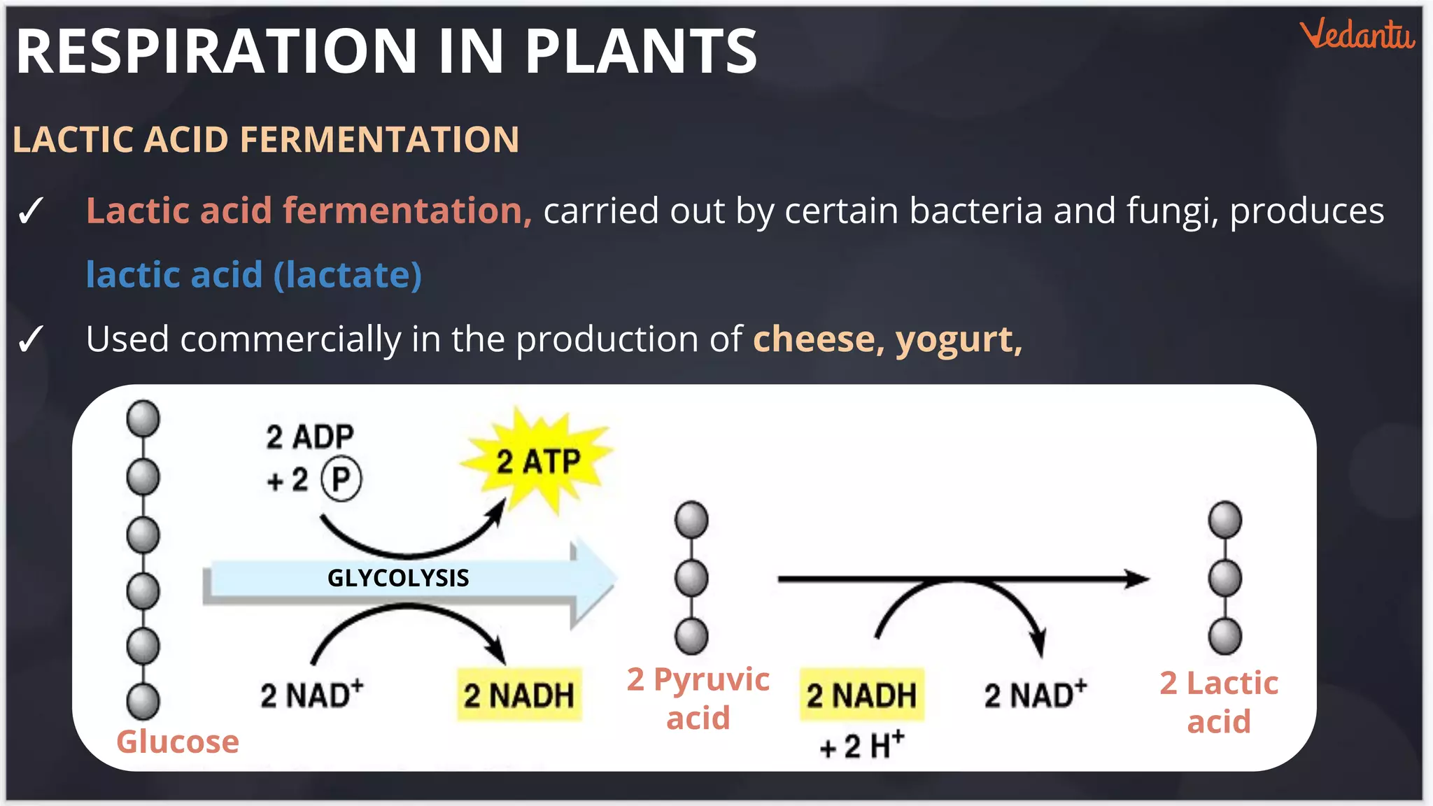 Respiration+in+Plants+Master+Copy.pdf