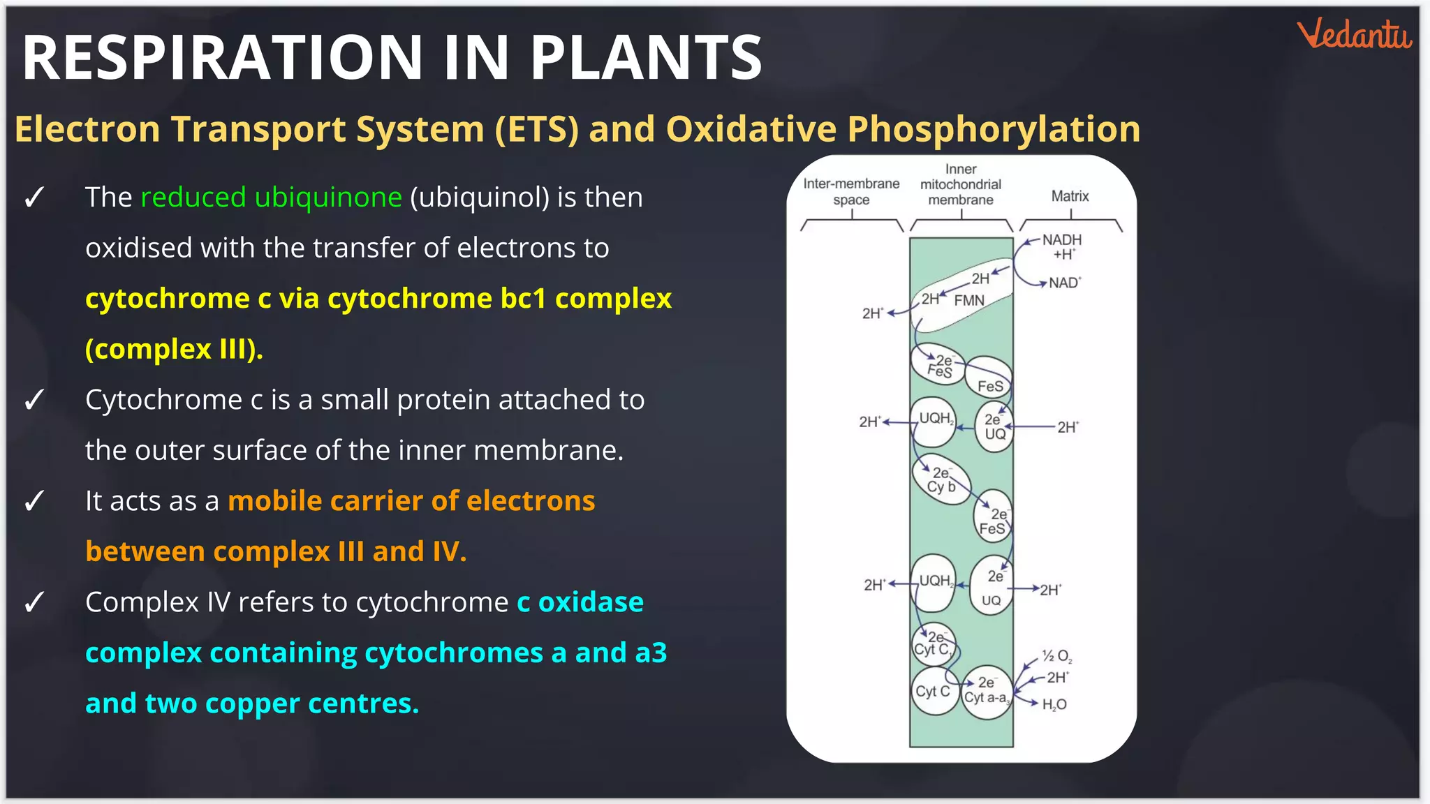 Respiration+in+Plants+Master+Copy.pdf