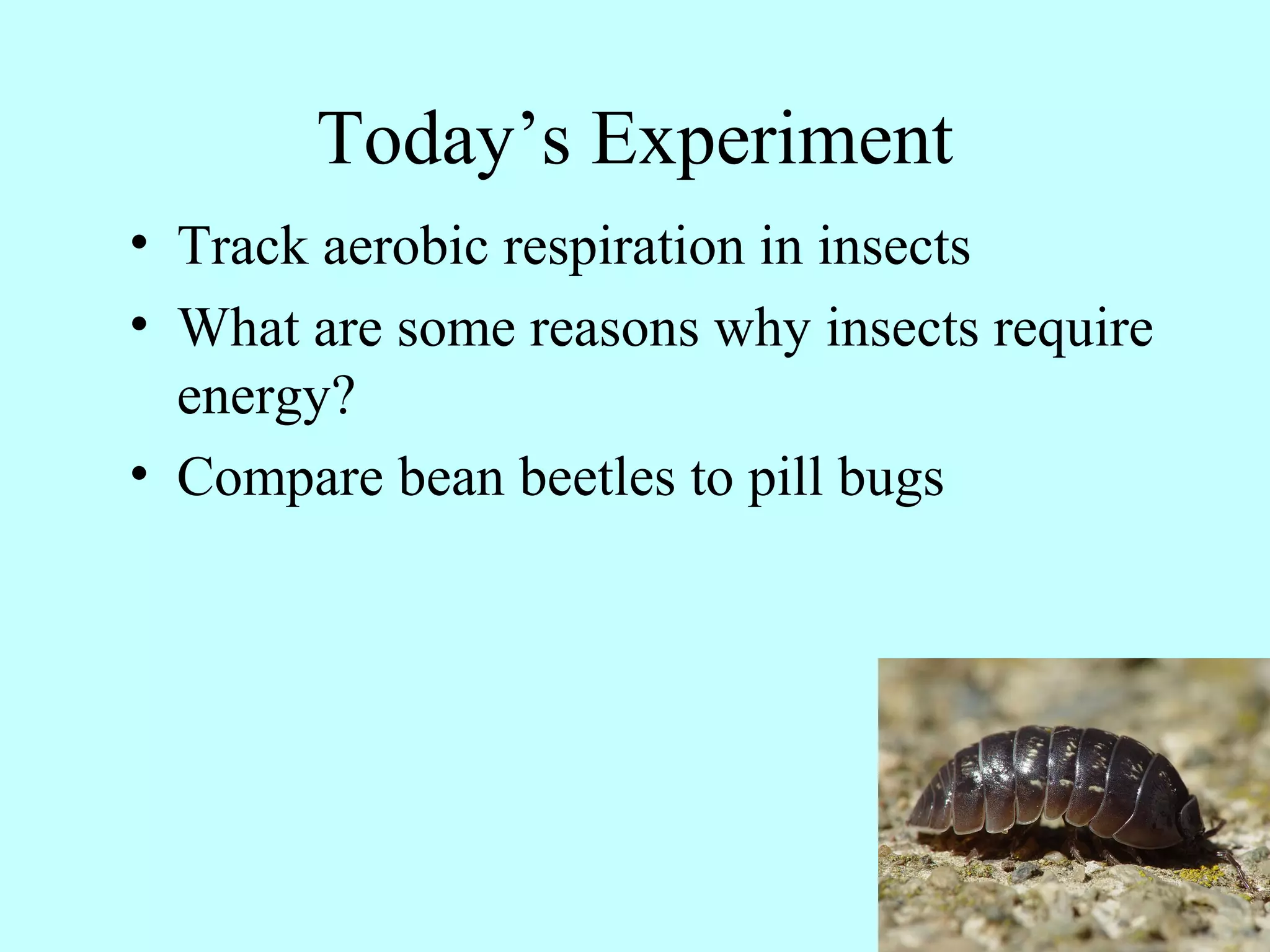 Respiration lab Biology I | PPT