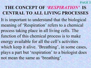 Respiration | PPT