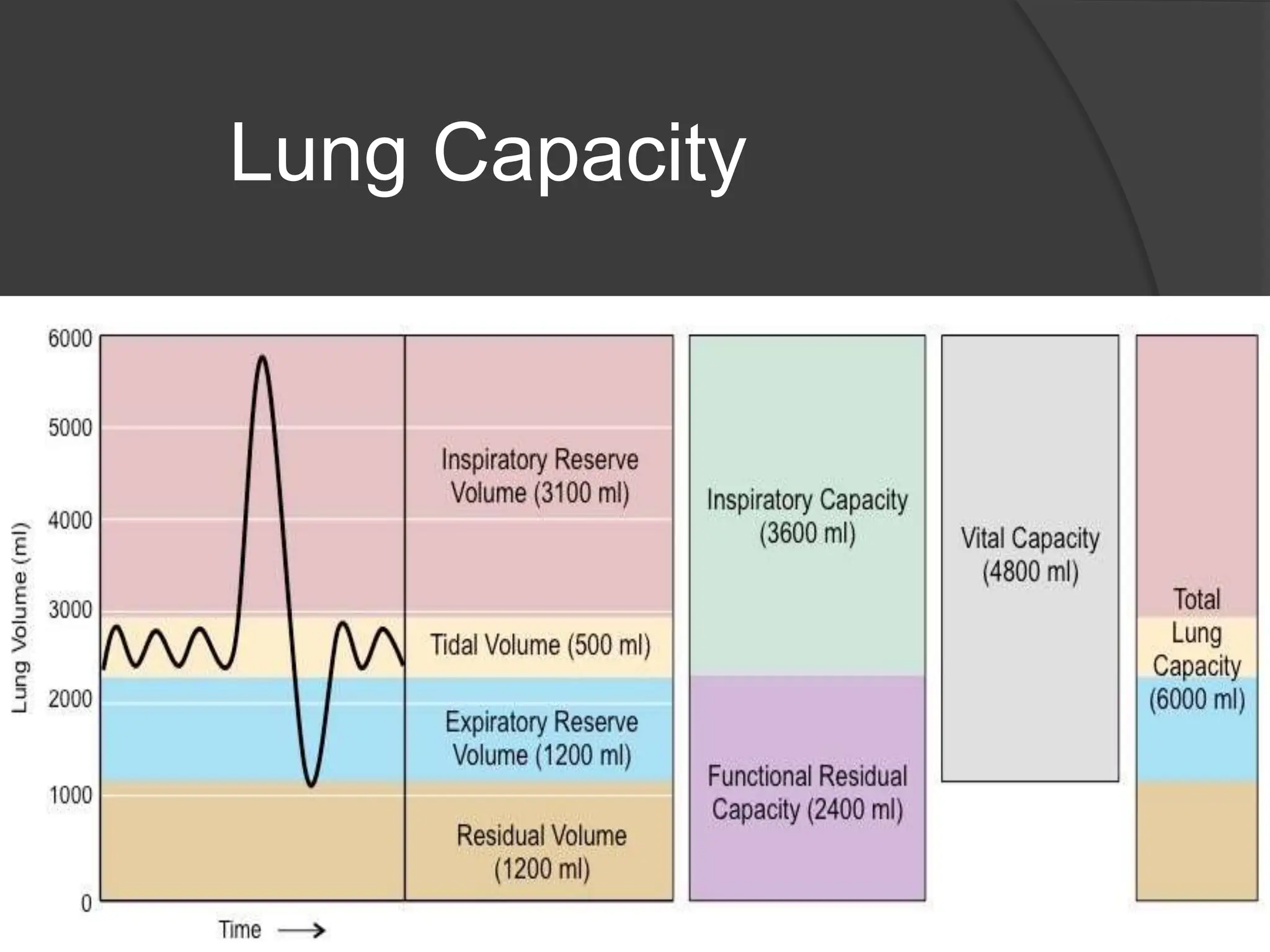 Respiration Monitoring1.pptx Respiration Monitoring | PPTX | Lung and ...