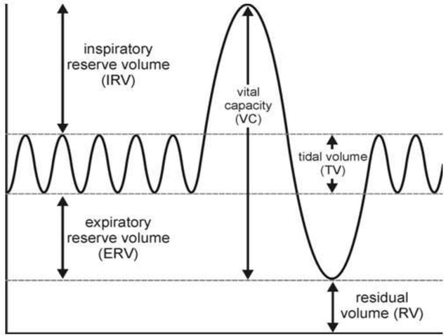 Respiration Monitoring1.pptx Respiration Monitoring | PPTX | Lung and ...