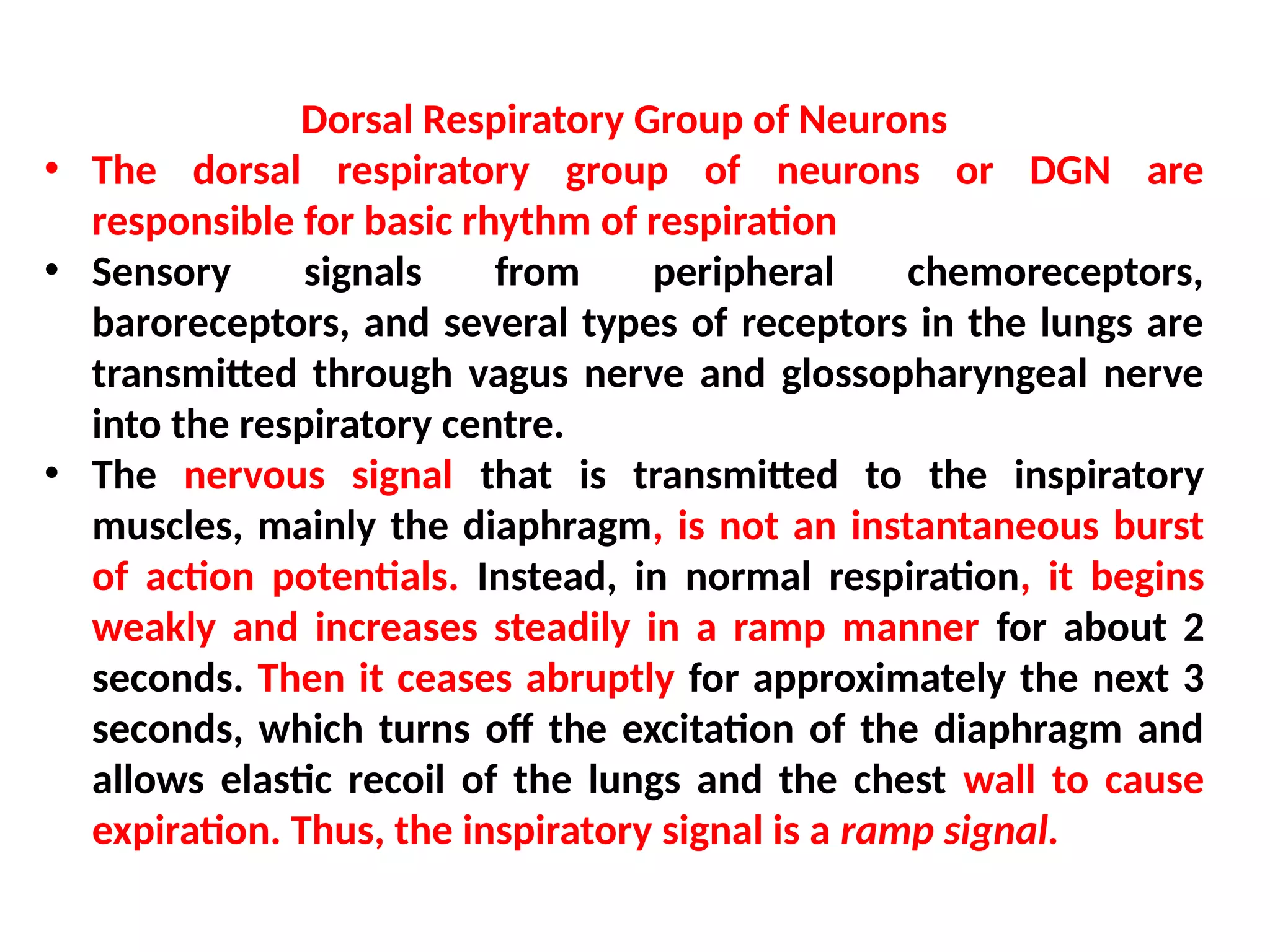 respiration notes.pdf