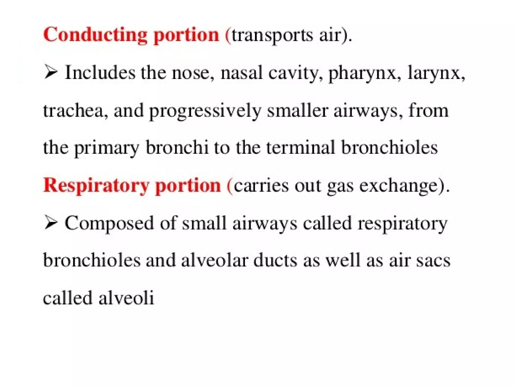 respiration notes.pdf