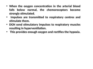 respiration notes.pdf