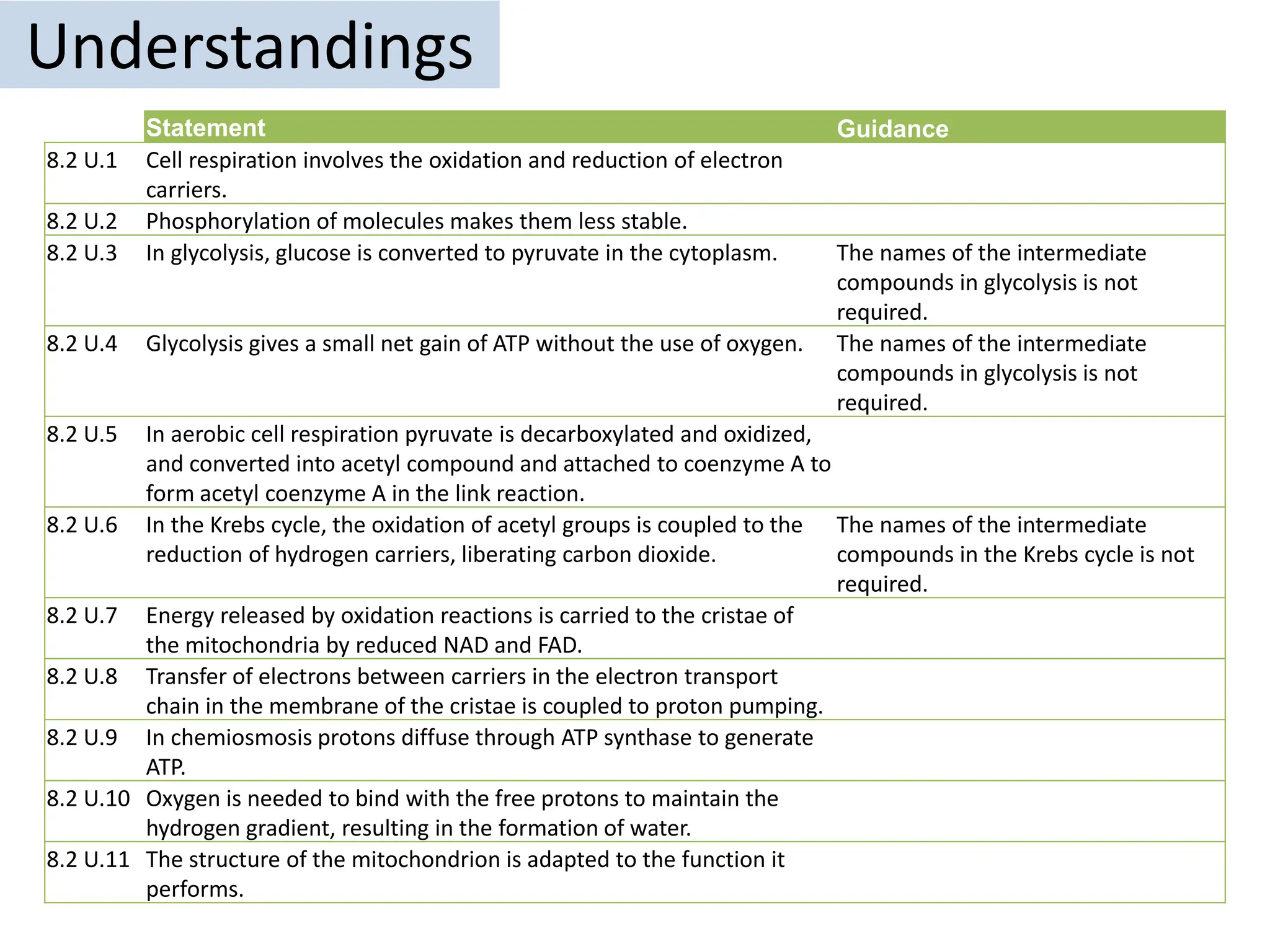 Cellular Respiration Notes for simple explanation of the process | PPT