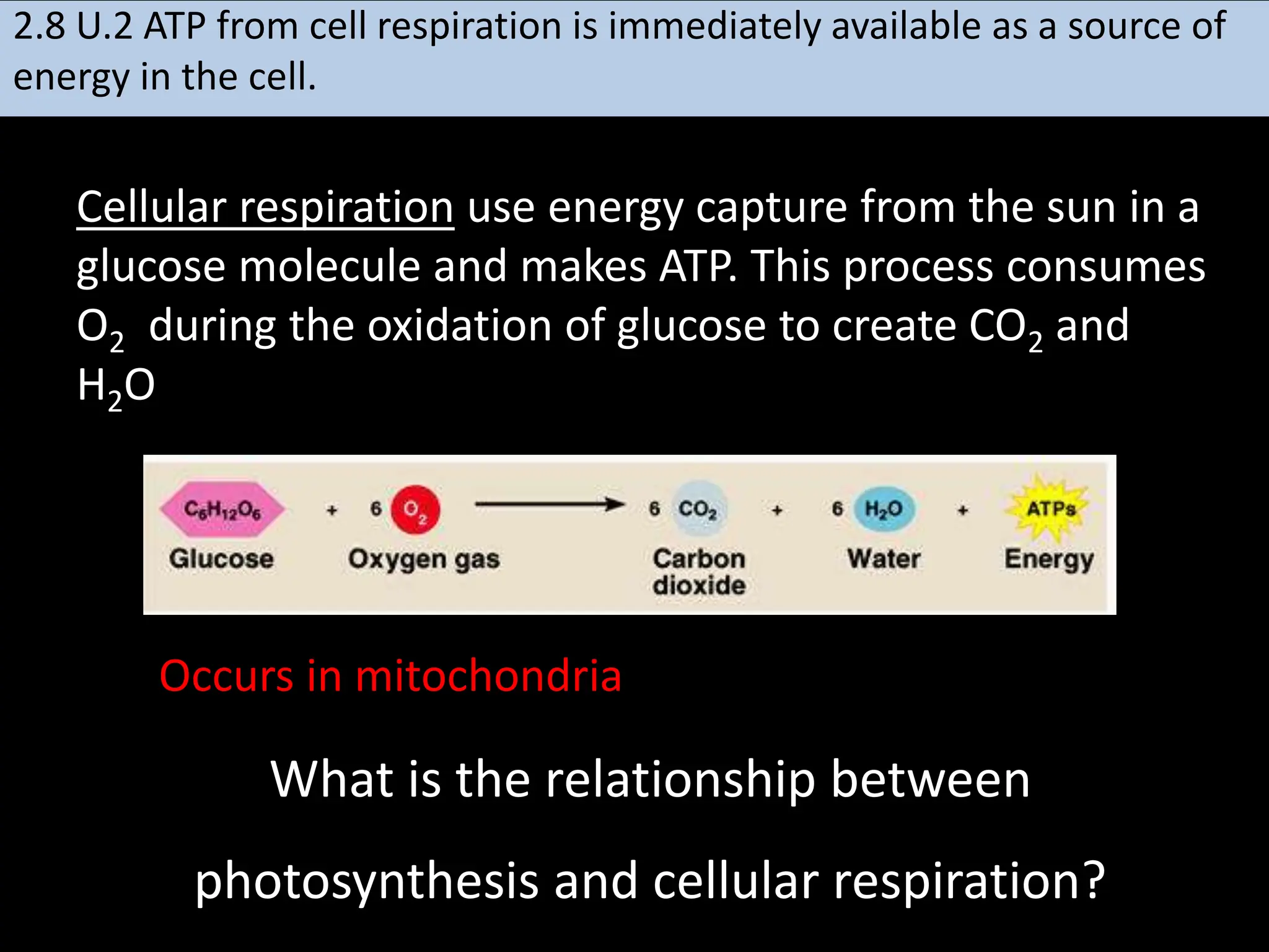 Cellular Respiration Notes for simple explanation of the process | PPT