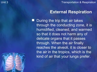 Respiration Notes | PPT