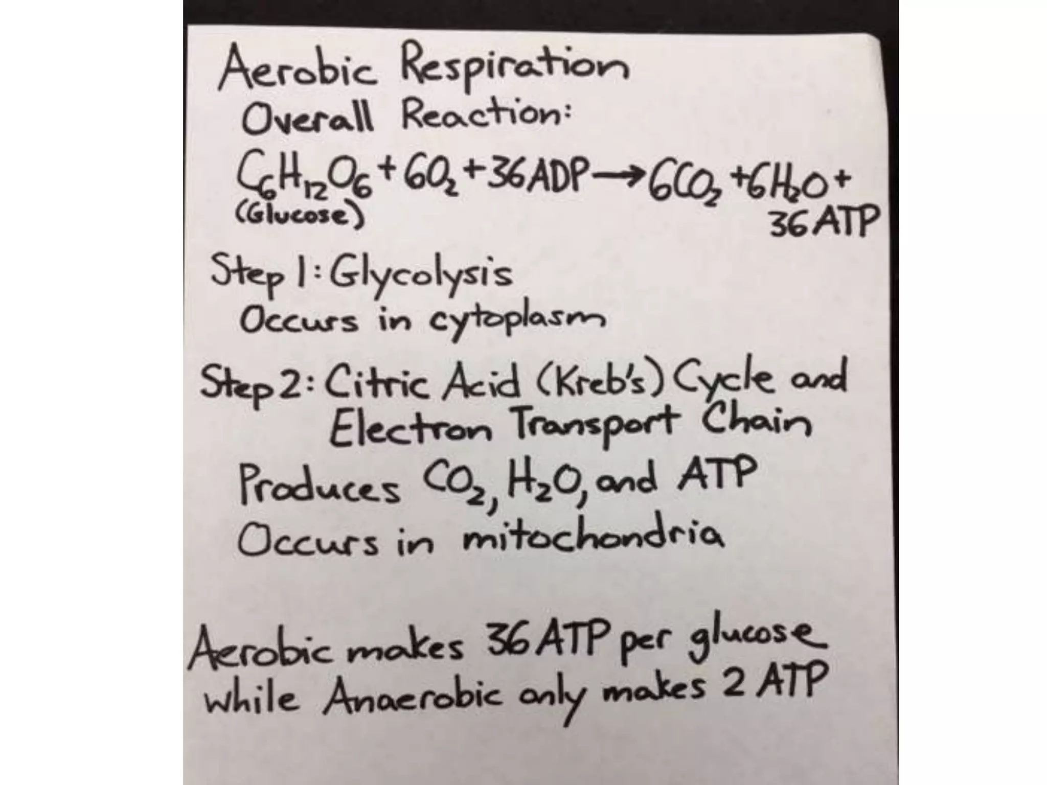 Respiration notes hand written | PPTX