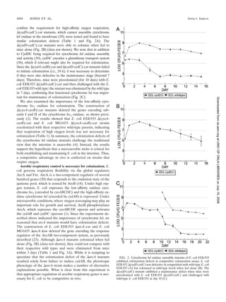 Respiration of e. coli in the mouse intestine | PDF