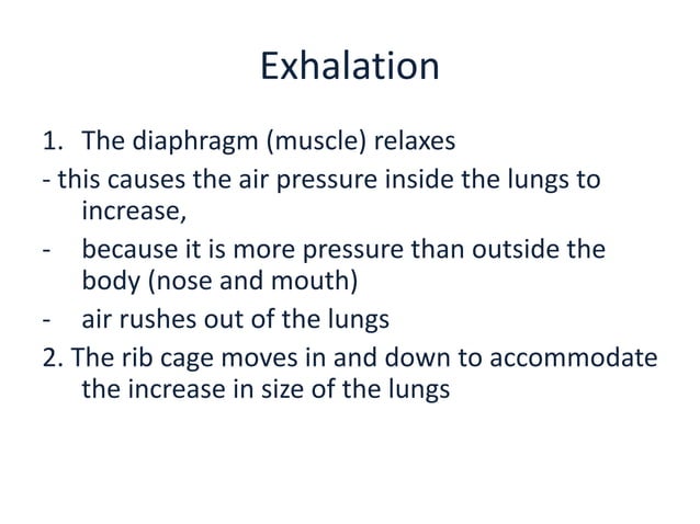 respiration_part 1-converted.pdf