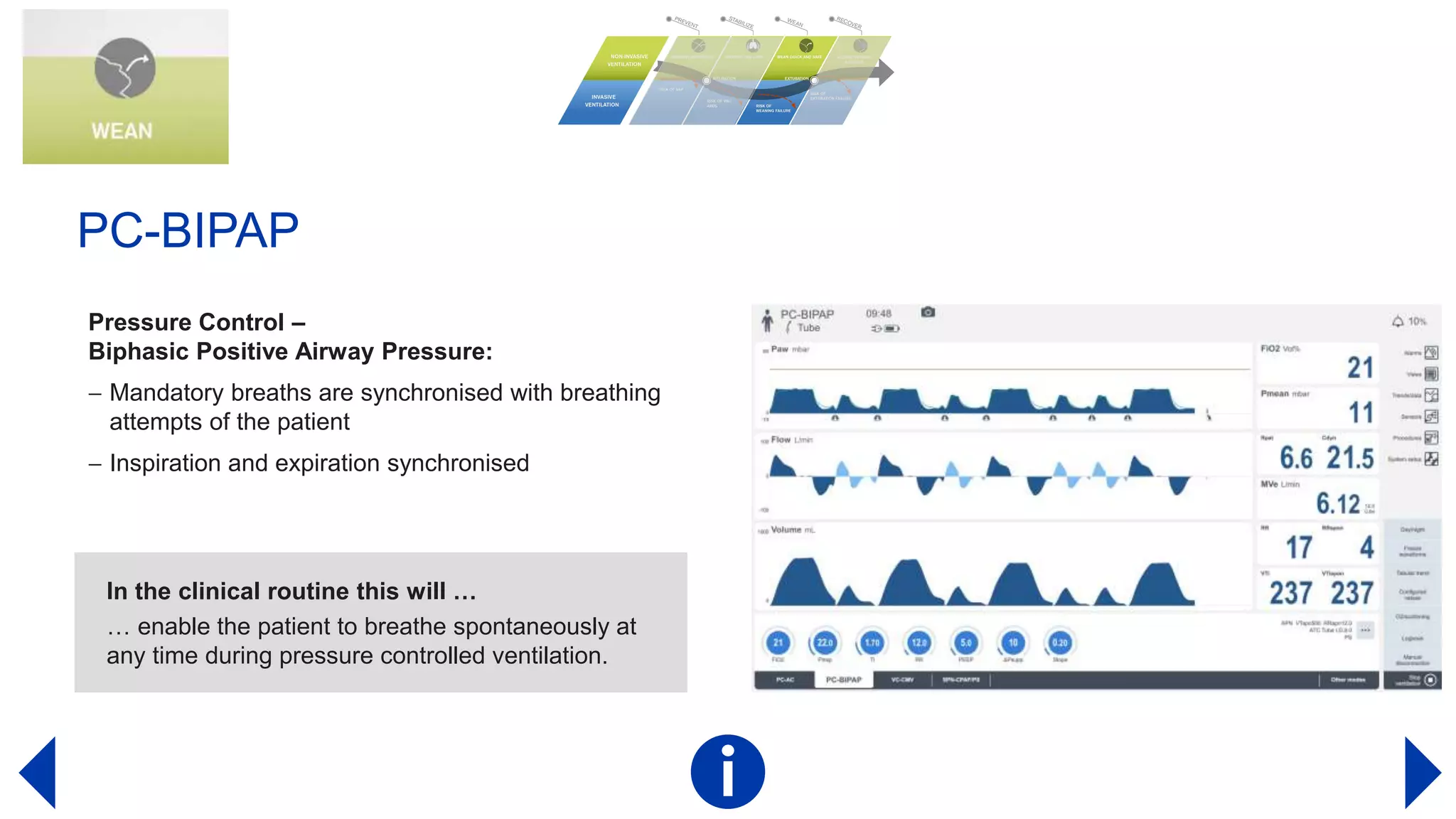Respiration Pathway_Dräger Ventilation Story (1).pptx