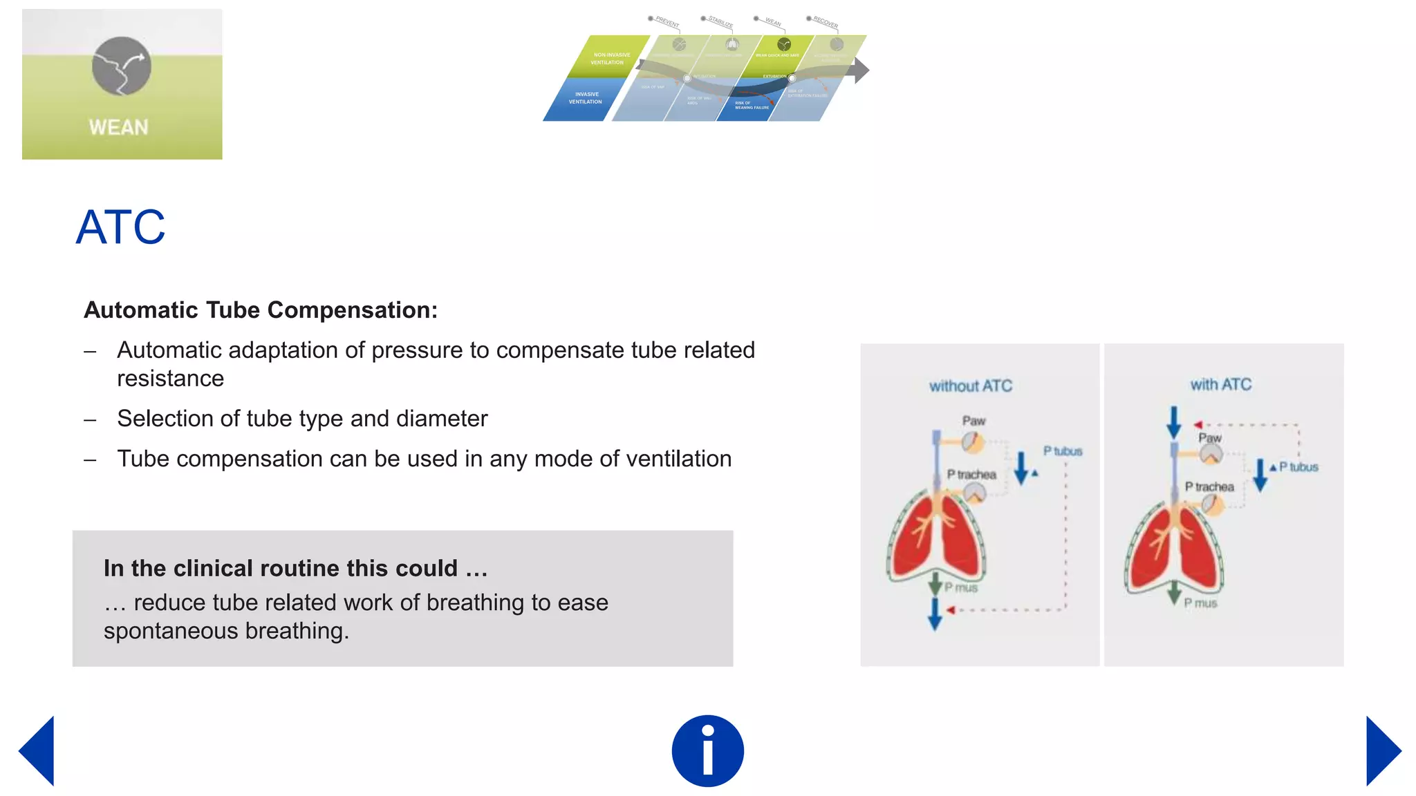 Respiration Pathway_Dräger Ventilation Story (1).pptx