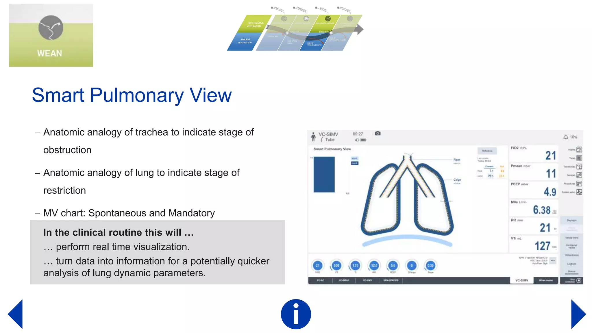 Respiration Pathway_Dräger Ventilation Story (1).pptx